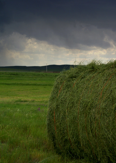 Out With The Old | Farmgirl Bloggers